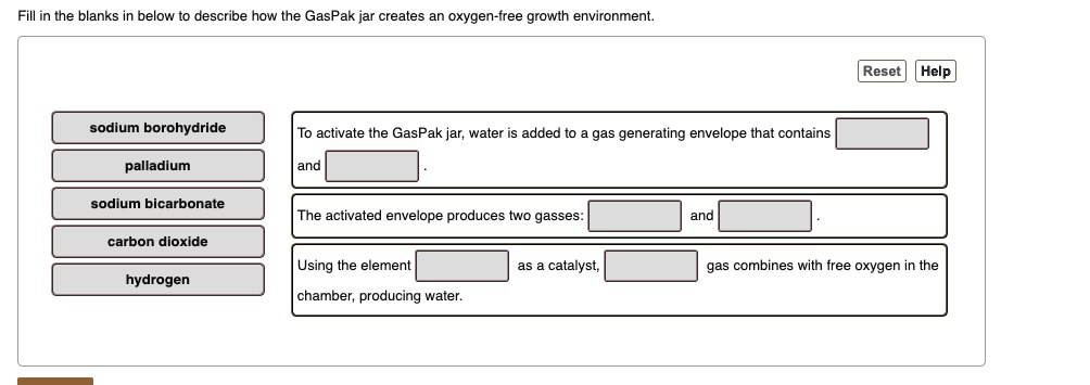 SOLVED:the blanks in below describe how the GasPak jar creates an ...