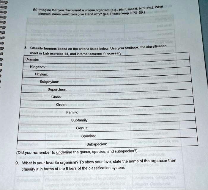 SOLVED: Chart in Lab Exercise 14 and internet sources, if necessary ...