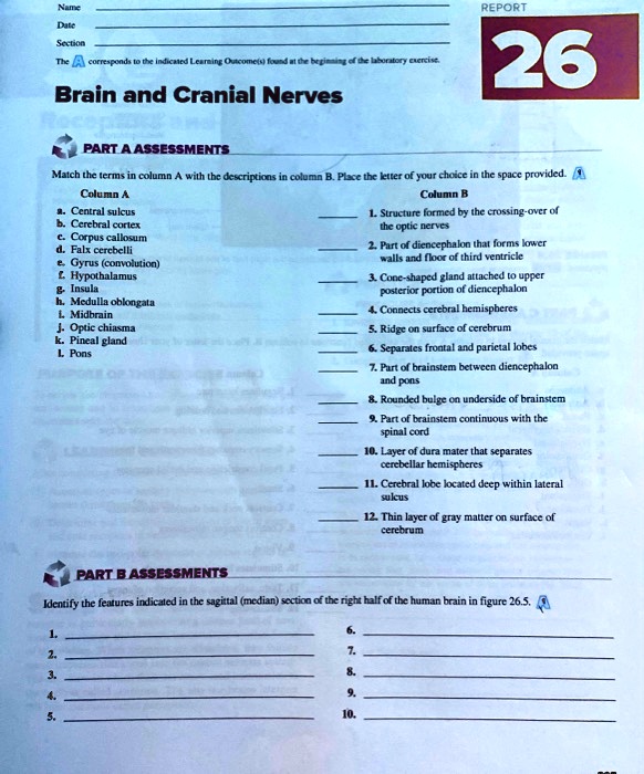 Name Date Section The corresponds to the indicated Learning Outcome(s ...