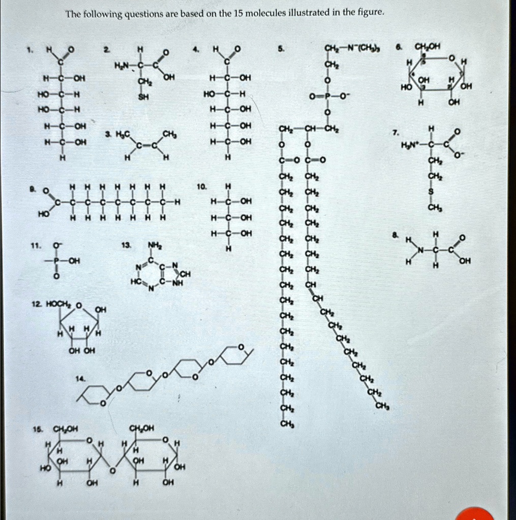 SOLVED: The following questions are based on the 15 molecules ...