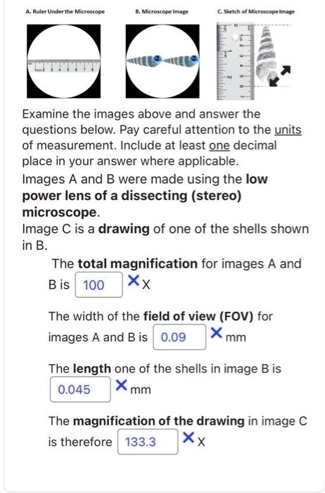 SOLVED: Texts: A Ruler Under the Microscope Examine the images above ...
