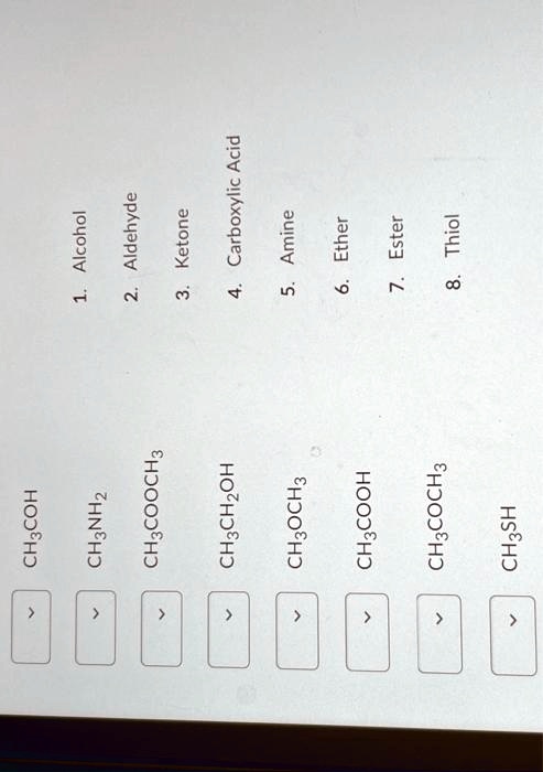 SOLVED: Texts: Carboxylic Acid, Alcohol, Aldehyde, Ketone, Amine, Ether, Ester, Thiol, 2, 3, 4 ...