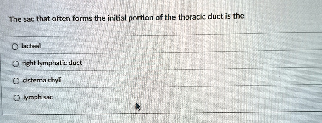 the sac that often forms the initial portion of the thoracic duct is ...