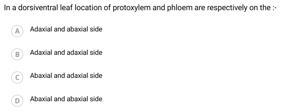 in a dorsiventral leaf location of protoxylem and phloem are ...