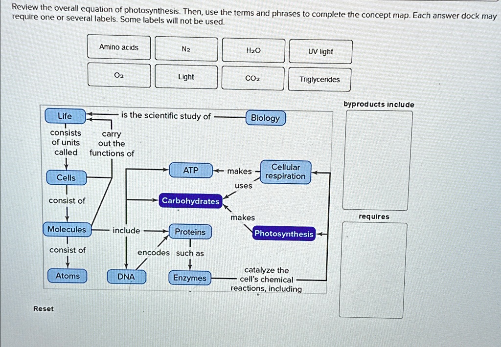 Review the overall equation of photosynthesis. Then, use the terms and ...