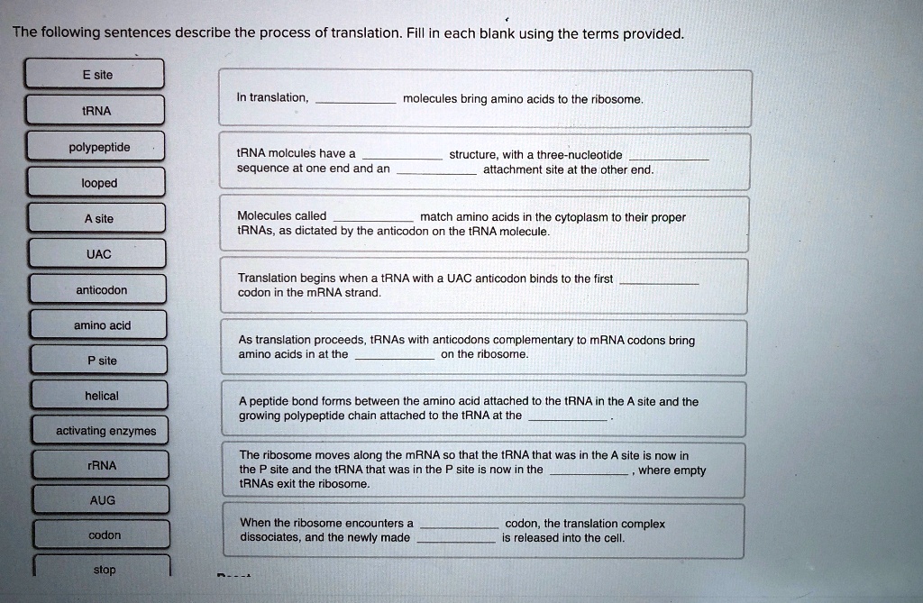 the following sentences describe the process of translation fill in each blank using the terms ...