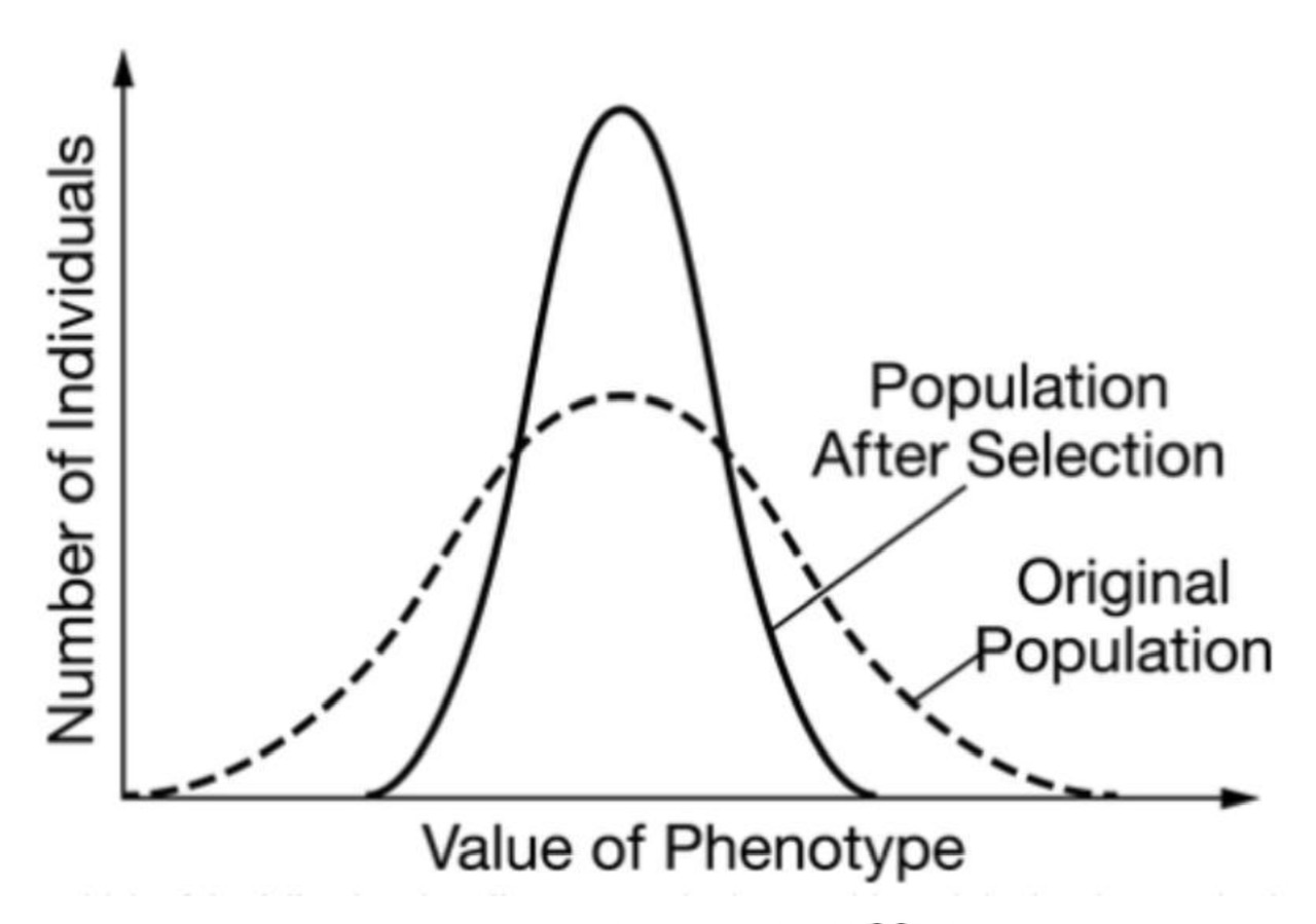 SOLVED: Which of the following describes a scenario that would result ...