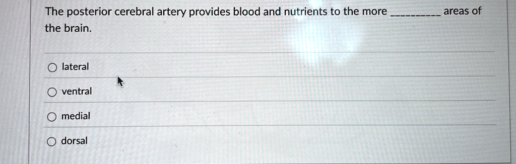 [GET ANSWER] the posterior cerebral artery provides blood and nutrients ...