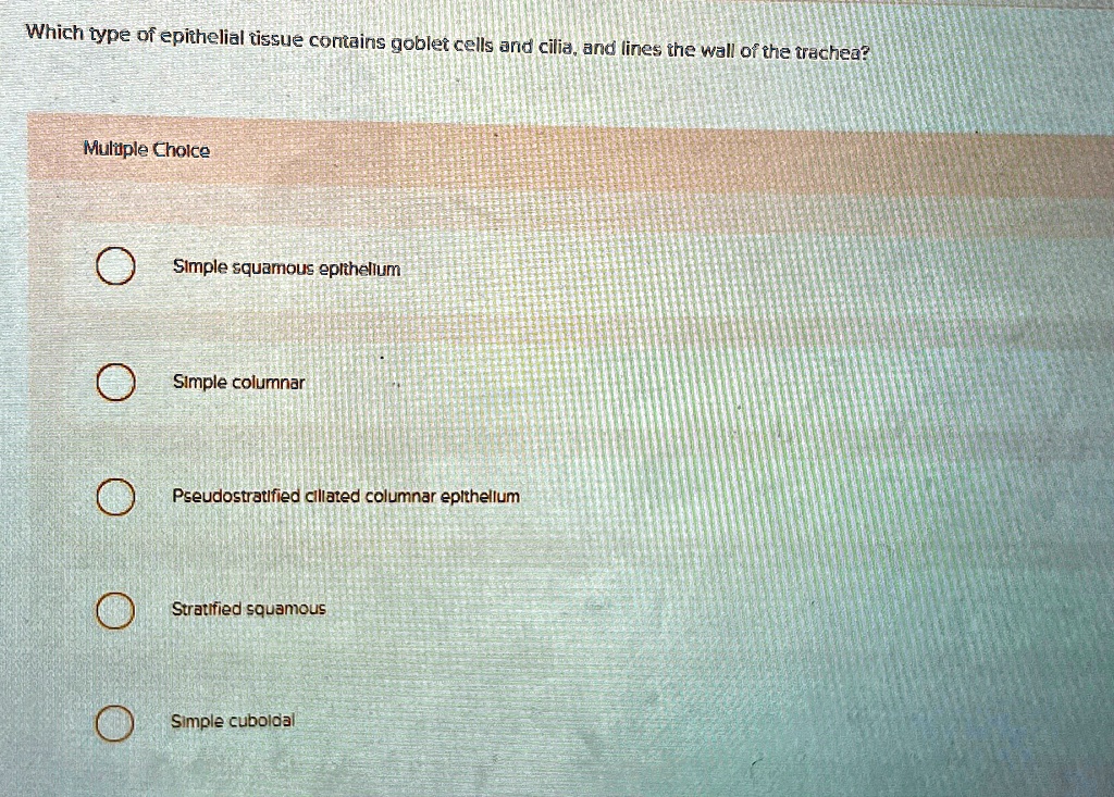 which type of epithelial tissue contains goblet cells and cilia and ...