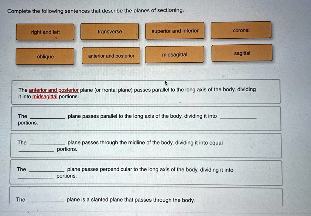 complete the following sentences that describe the planes of sectioning ...