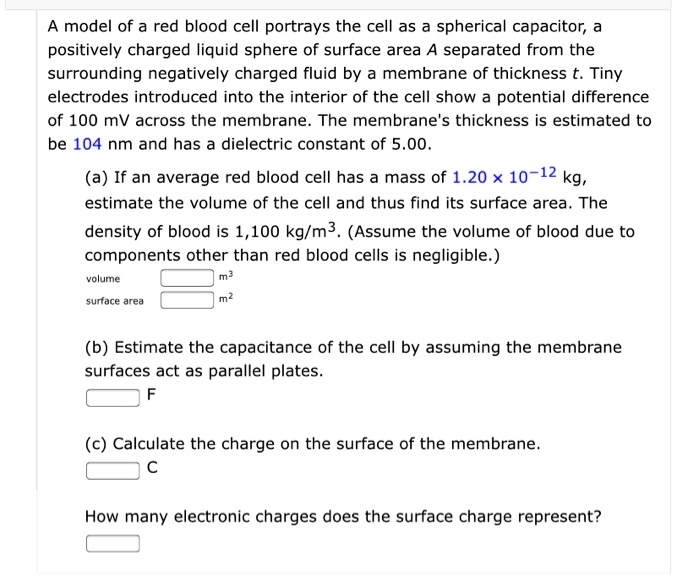 A model of a red blood cell portrays the cell as a spherical capacitor ...