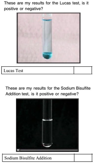 Sodium Bisulfite Test