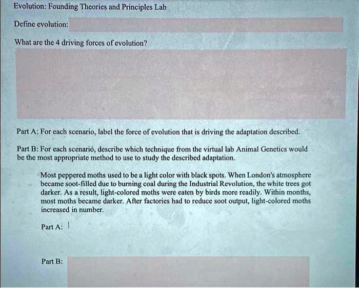 Evolution: Founding Theories and Principles Lab Define evolution: What ...