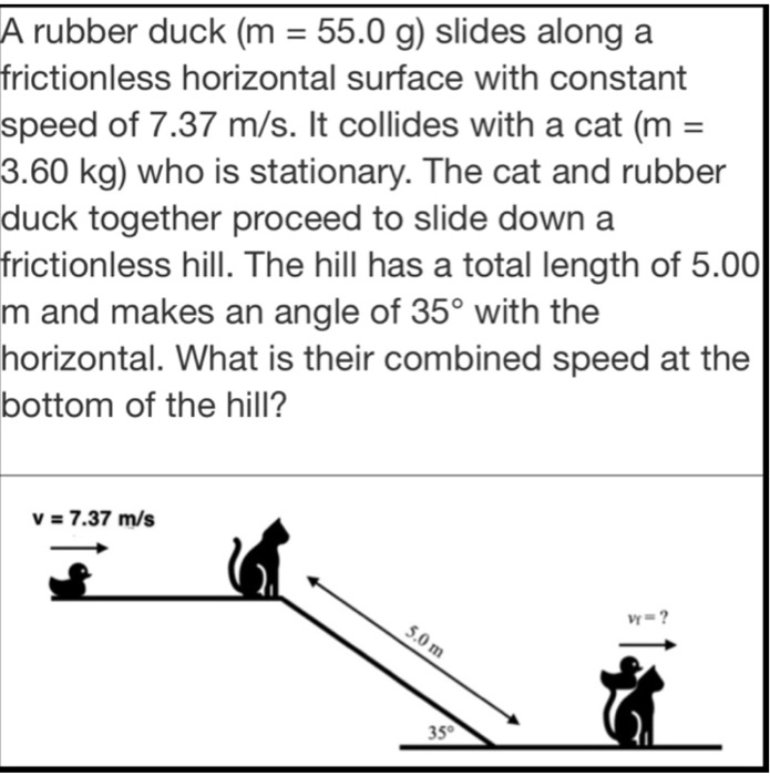 a rubber duck m 550 g slides along a frictionless horizontal surface ...