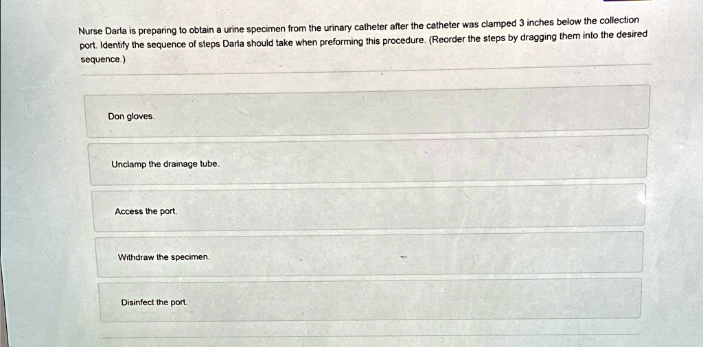 nurse darla is preparing to obtain a urine specimen from the urinary ...