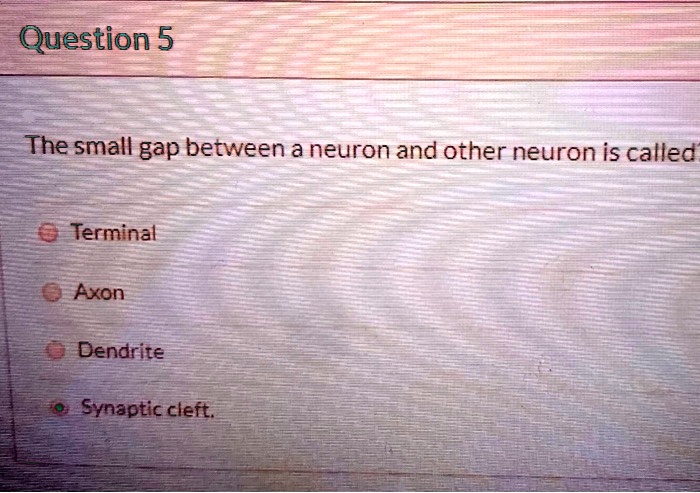 question 5 the small gap between a neuron and other neuron is called ...
