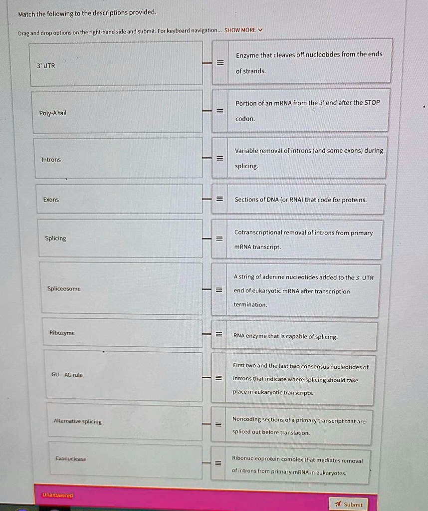 SOLVED: Match the following to the descriptions provided: Drag and drop ...