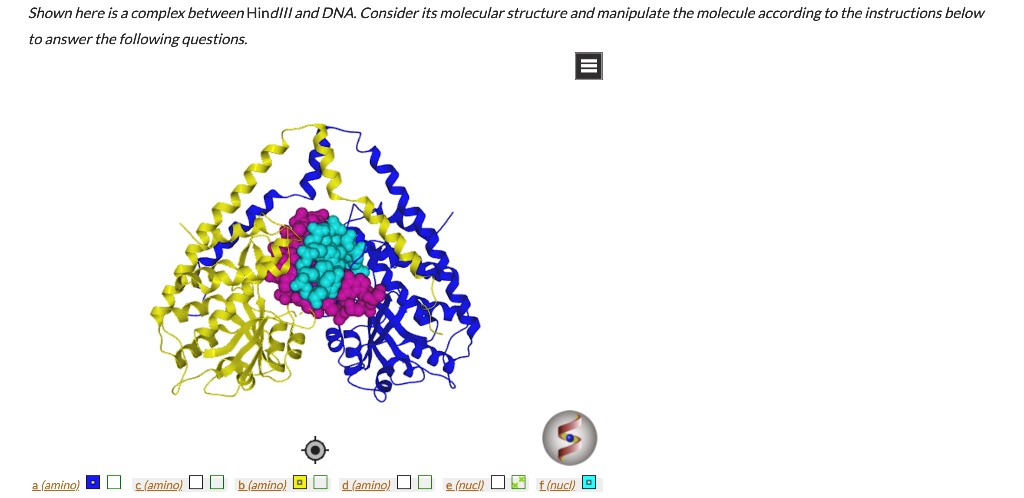 SOLVED: Shown here i5 complex between Hindill and DNA Consider its ... SOLVED: Shown here i5 complex between Hindill and DNA Consider its ...