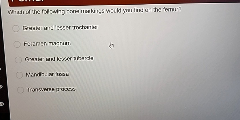 which of the following bone markings would you find on the femur ...