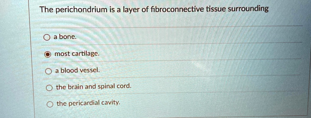 The perichondrium is a layer of fibroconnective tissue surrounding a ...