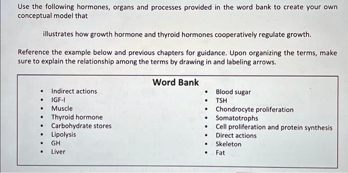 SOLVED: endocrinology Use the following hormones, organs and processes ...