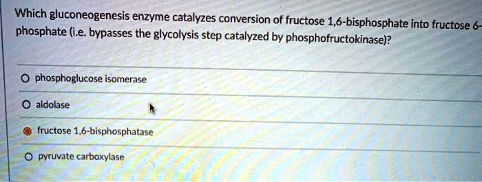 Which gluconeogenesis enzyme catalyzes conversion of fructose 1,6 ...