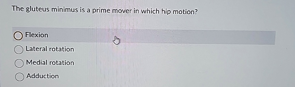 the gluteus minimus is a prime mover in which hip motion flexion ...