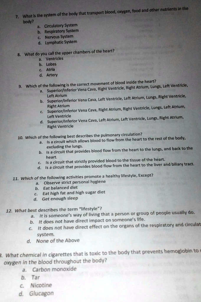 sana may sagot food and other nutrients in tne what is the system of ...