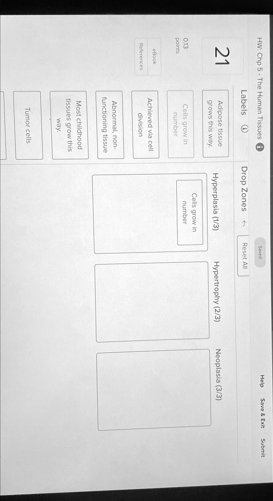 HW: Chp 5 - The Human Tissues Labels Drop Zones 21 Adipose tissue grows ...