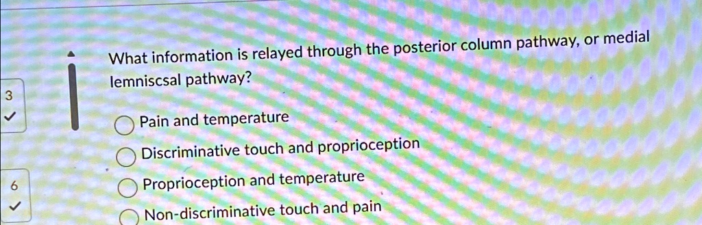 what information is relayed through the posterior column pathway or ...