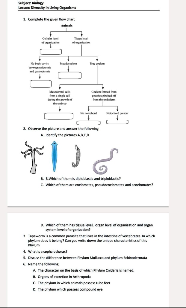 SOLVED: Please answer, it's important. Subject: Biology Lesson ...