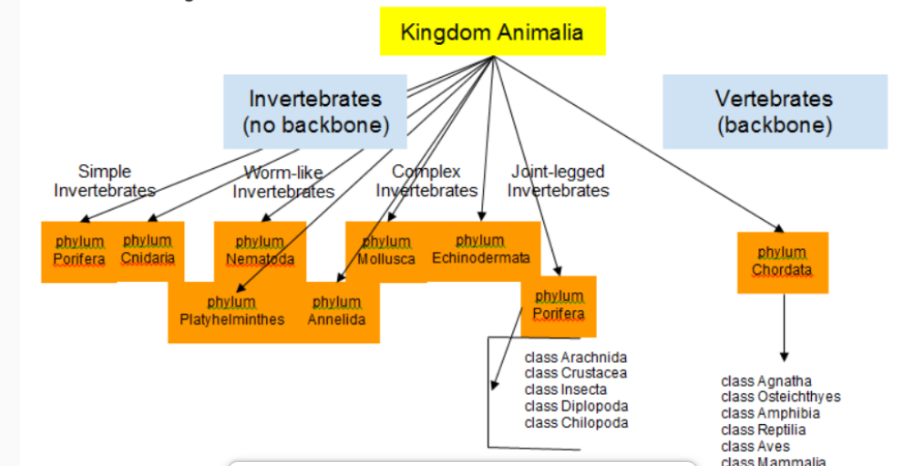 SOLVED: Recall an earlier activity where you created a mind map of the ...