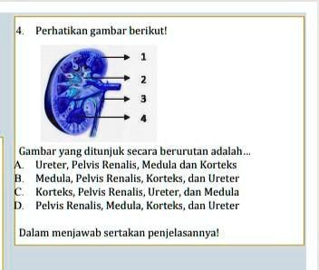 SOLVED: Bantu jawab iya yang tau Perhatikan gambar berikutl Gambar yang ...