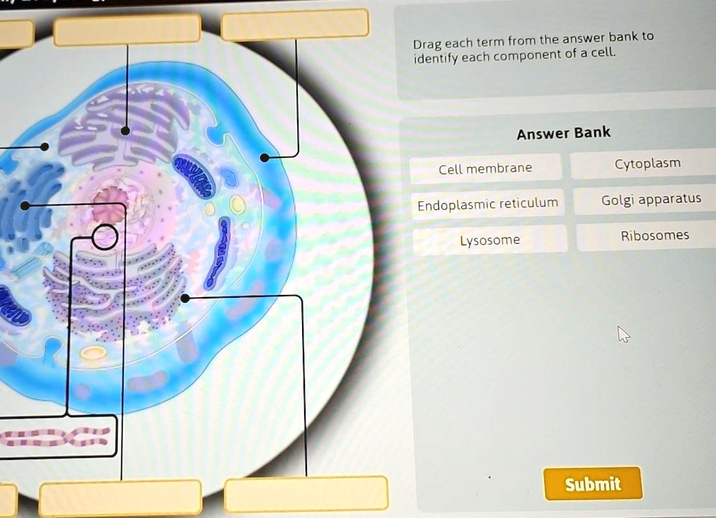 Drag each term from the answer bank to identify each component of a ... Drag each term from the answer bank to identify each component of a ...