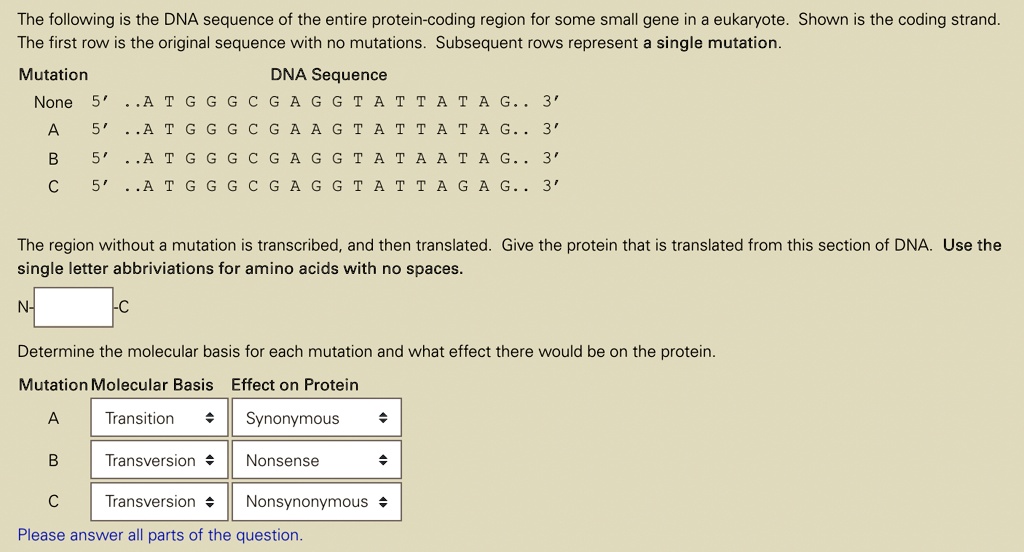 SOLVED: The following is the DNA sequence of the entire protein-coding region for some small ...