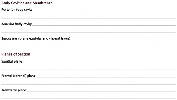 SOLVED: Body Cavities and Membranes Posterior body cavity Anterior body ...