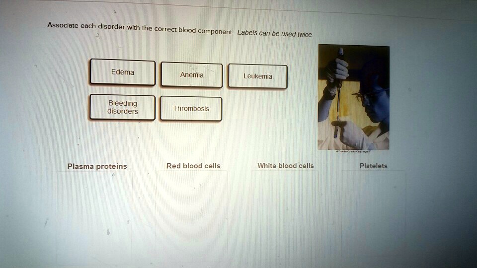 Associate each disorder with the correct blood component Labels can be ...