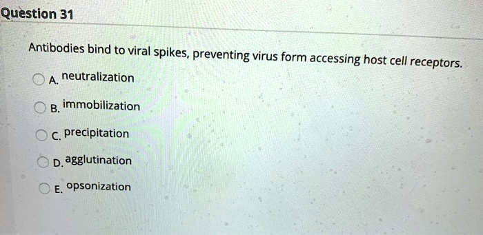 SOLVED: Question 31 Antibodies bind to viral spikes, preventing virus form accessing host cell ...