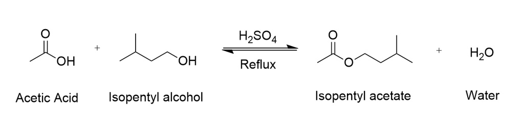 Acetic Acid Isopentyl alcohol Isopentyl acetate Water