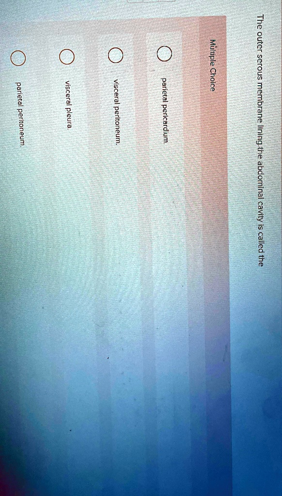 The outer serous membrane lining the abdominal cavity is called the ...