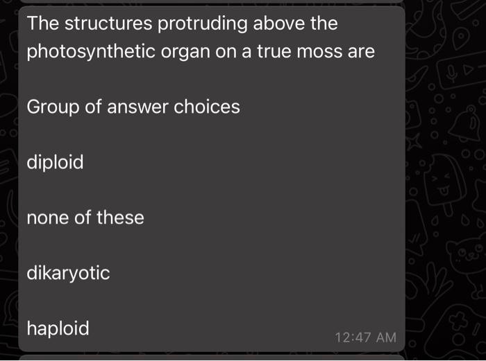 The structures protruding above the photosynthetic organ on a true moss ...