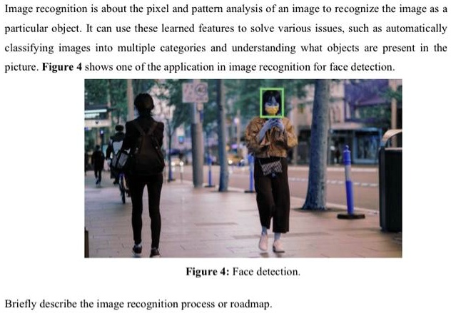 SOLVED: Image recognition is about the pixel and pattern analysis of an ...