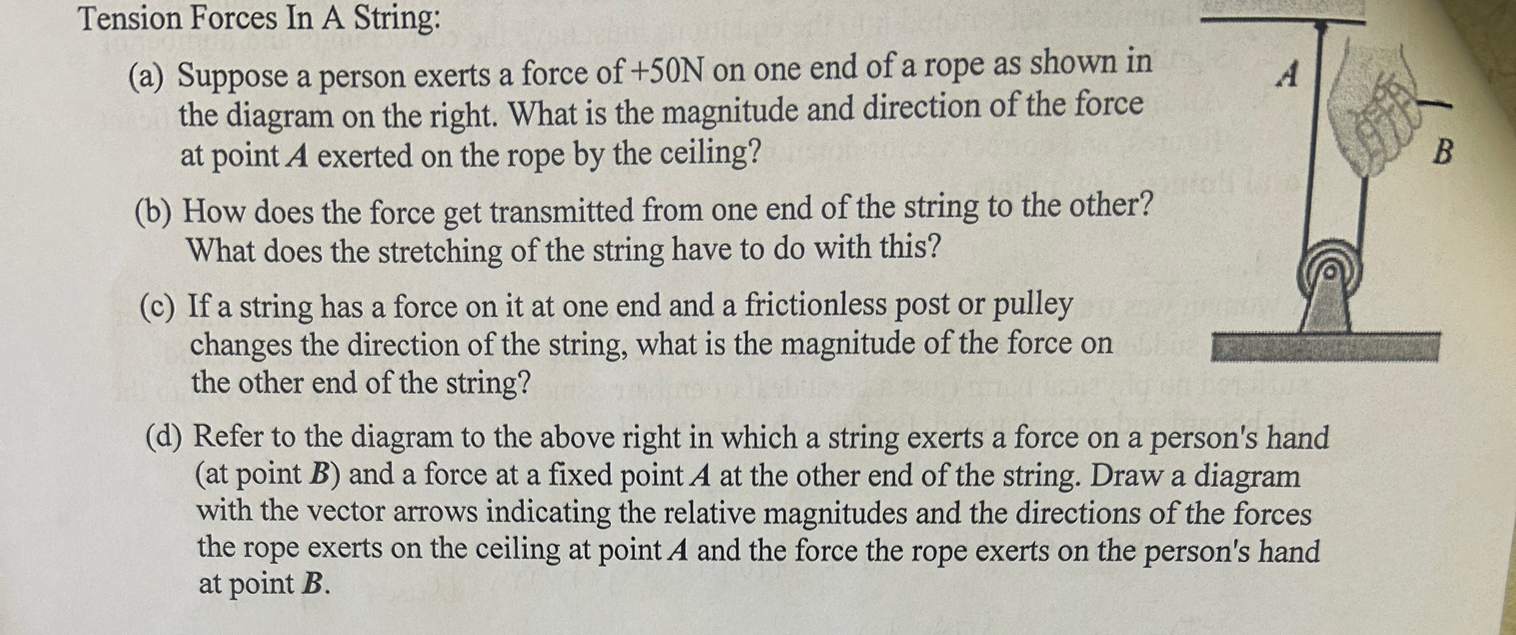 Tension Forces In A String: (a) Suppose a person exerts a force of +50 ...