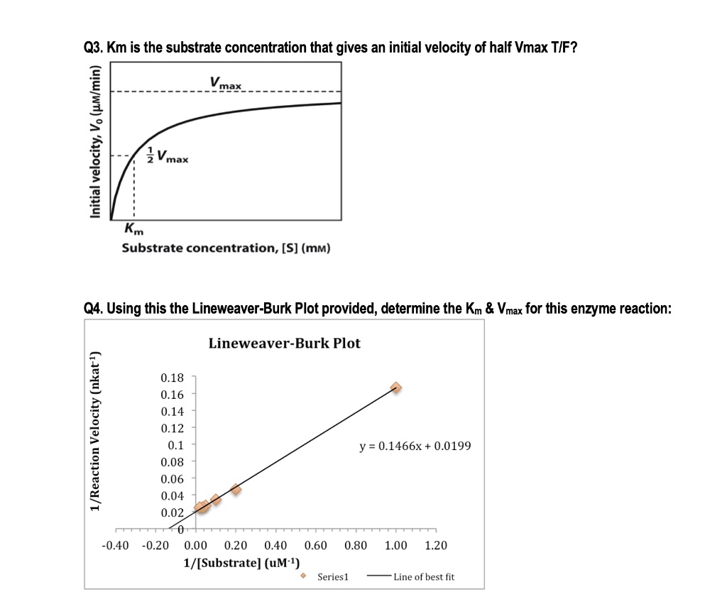 q3 km is the substrate concentration that gives an initial velocity of ...