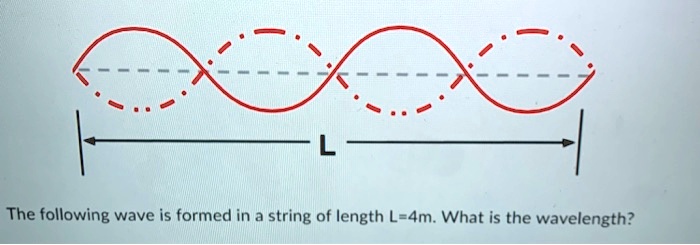 SOLVED: The following wave is formed in a string of length L = 4m. What ...