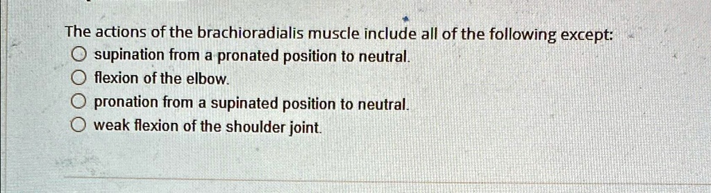 SOLVED: The actions of the brachioradialis muscle include all of the ...