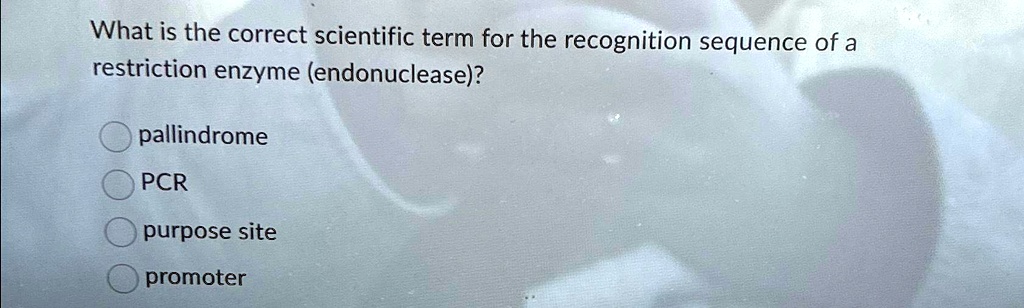 SOLVED: What is the correct scientific term for the recognition sequence of a restriction enzyme ...