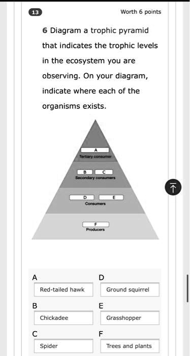 SOLVED: Worth Points Diagram of a trophic pyramid that indicates the ...