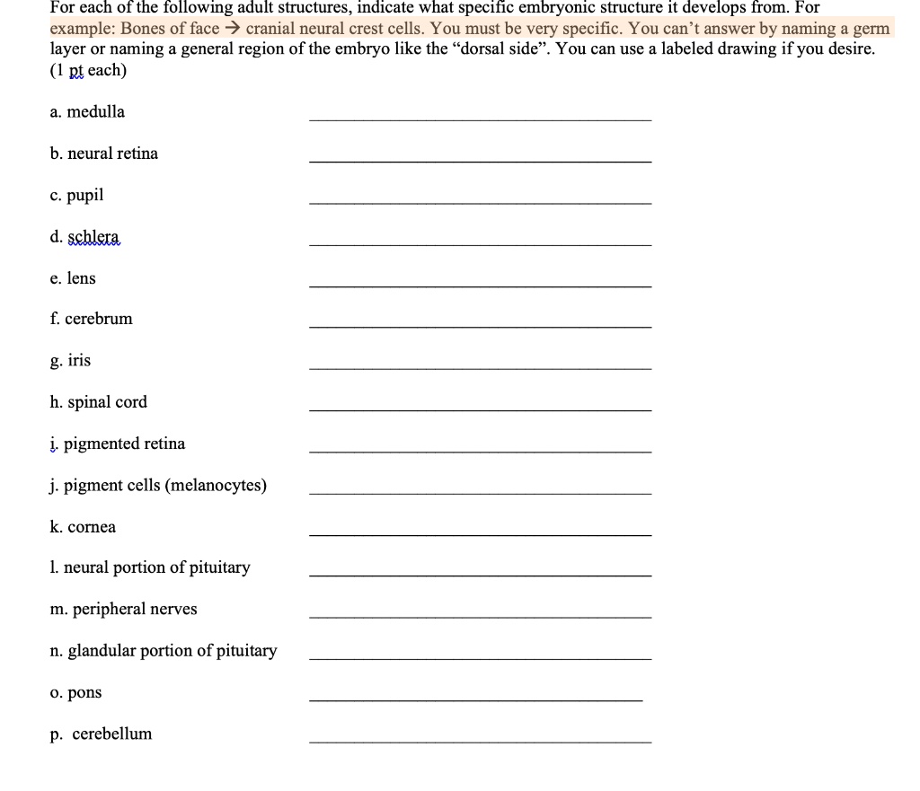 SOLVED: For each of the following adult structures; indicate what ...