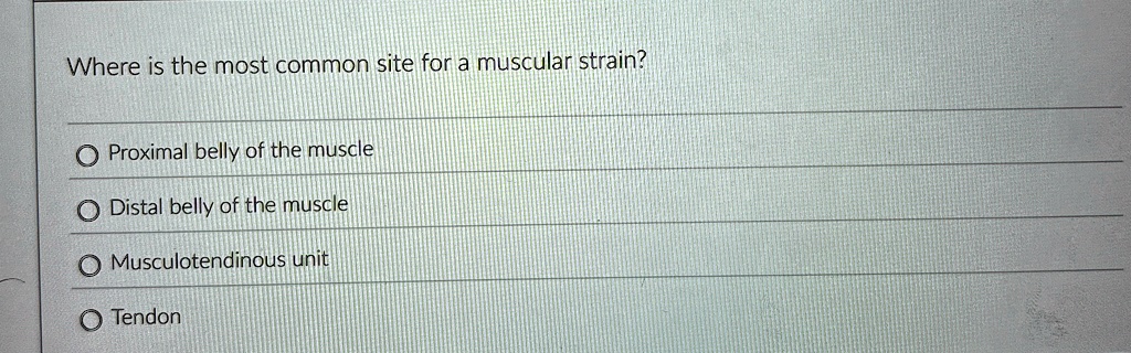 Where is the most common site for a muscular strain? Proximal belly of ...